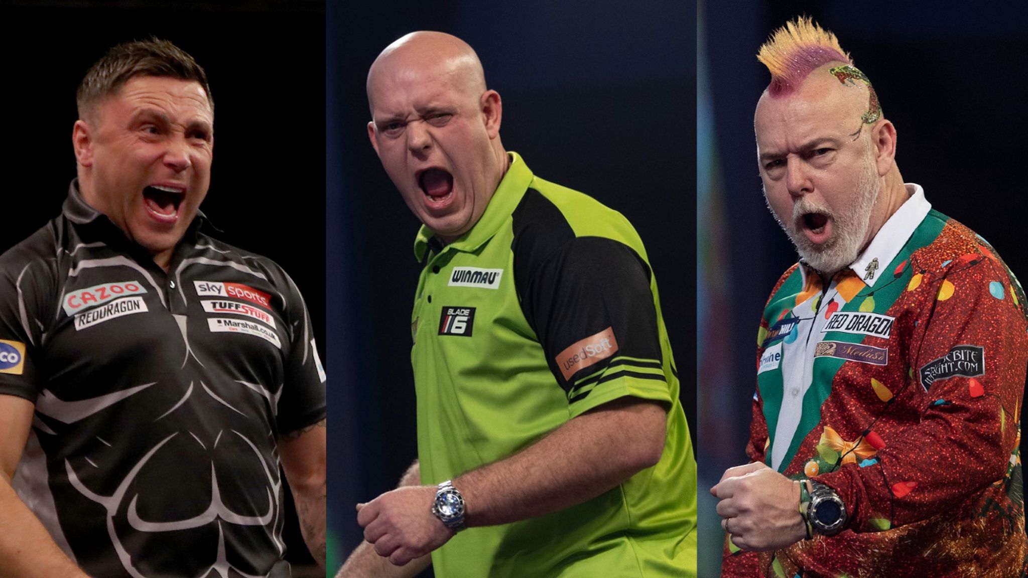 What Professional Dart Player are you? - DartHub.net